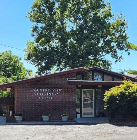 Best Veterinary Hospital In Champaign, IL | Country View Veterinary Clinic