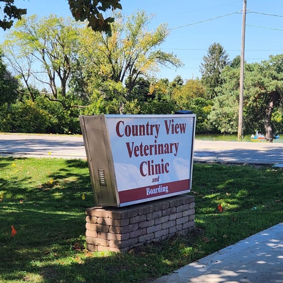 About Country View Veterinary Clinic | Vet In Champaign, IL